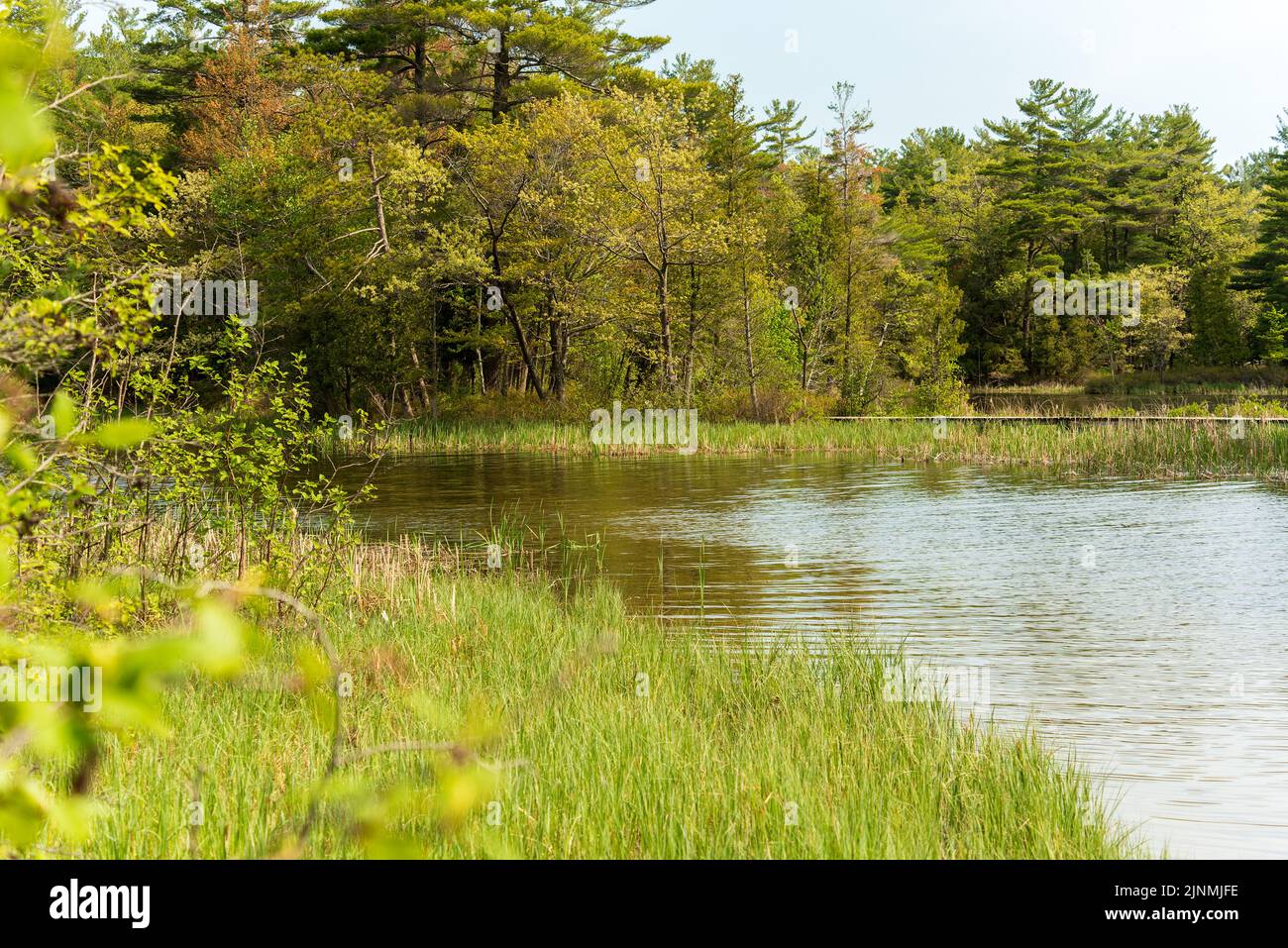 Hamlin marsh hi-res stock photography and images - Alamy