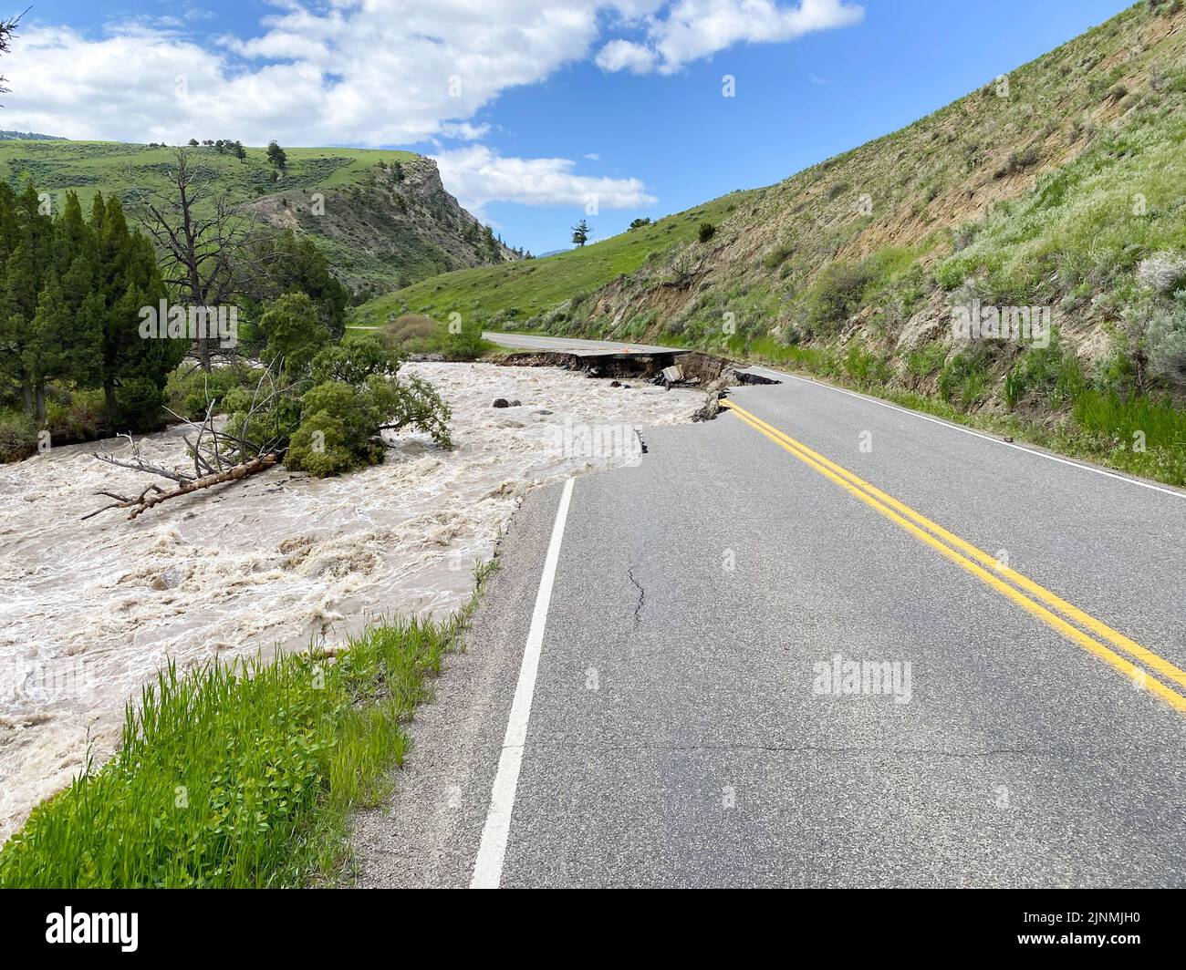 Yellowstone National Park, Wyoming, USA. 15th June, 2022. Portion of ...