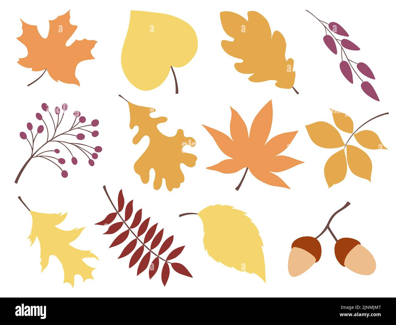 Big set of fall leaves and autumn objects. Fall clipart halloween or ...