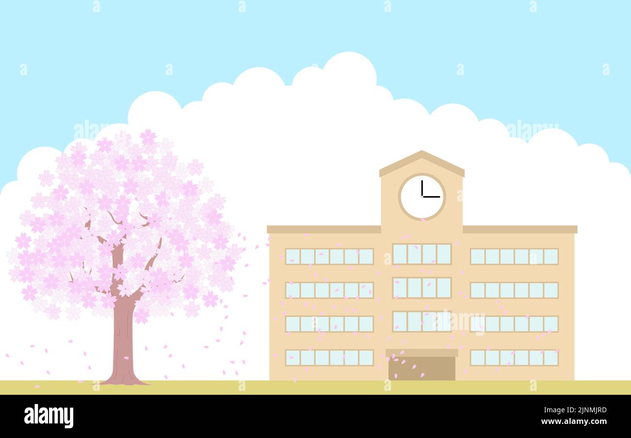 Cherry blossoms in full bloom and background illustration of the school ...
