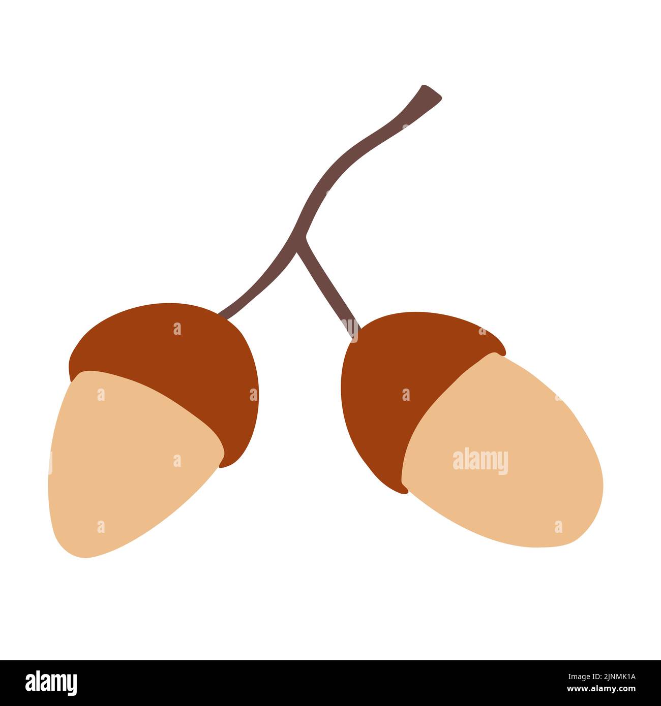 Vector acorn clipart illustration. Acorn isolated on a white background Stock Vector Image & Art ...