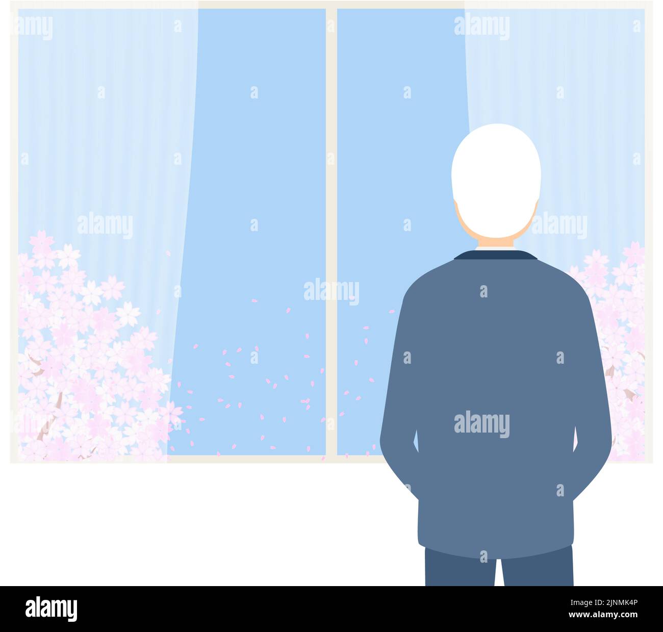 Elderly man looking at the cherry blossoms in full bloom from the ...