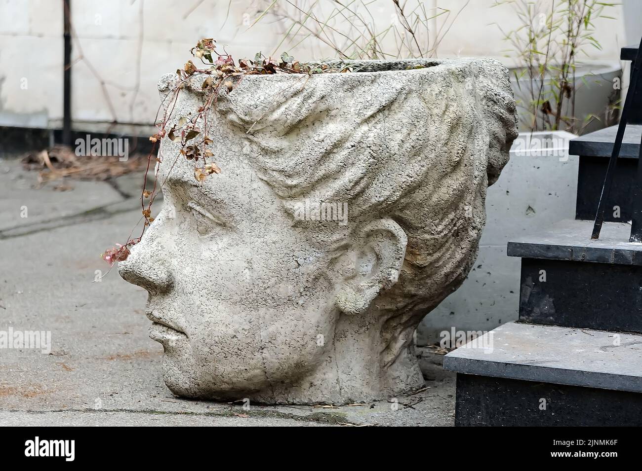Woman with flower pot on head hi-res stock photography and images - Alamy