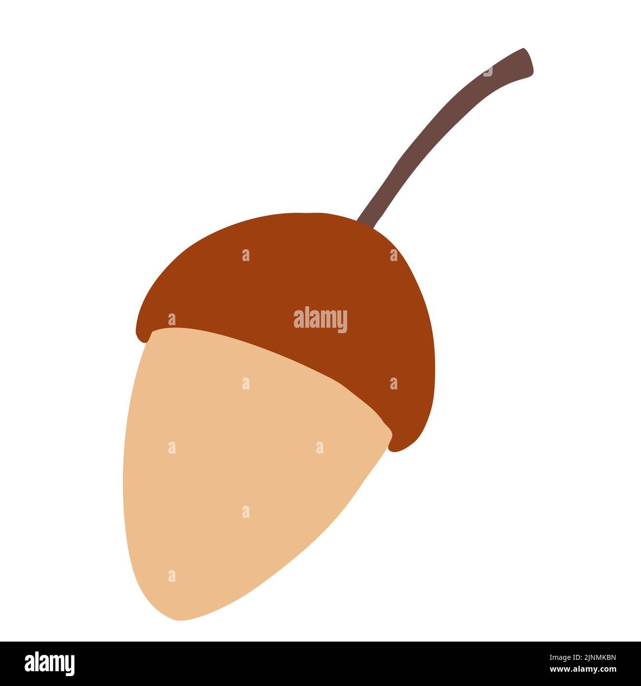 Vector acorn clipart illustration. Acorn isolated on a white background Stock Vector Image & Art ...