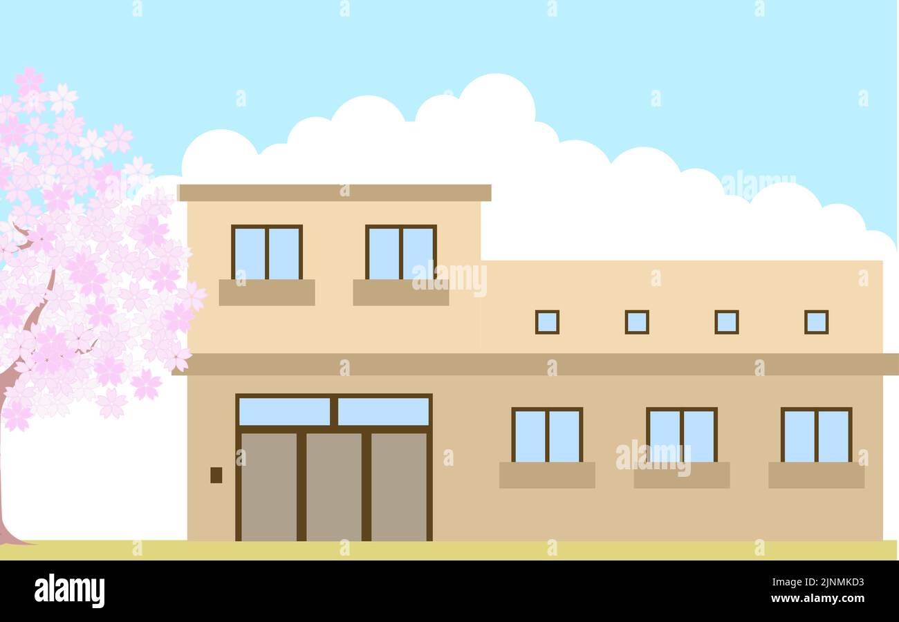 Cherry blossoms in full bloom and background material for group homes ...