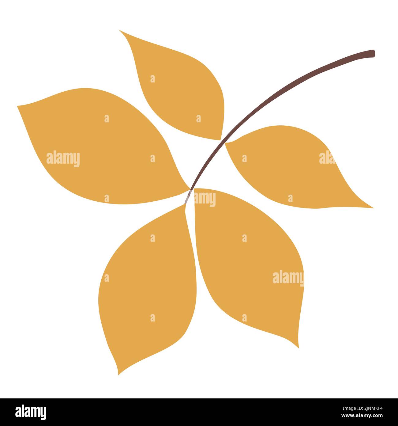 Automn Leaf Vector Icon Illustration in flat design Stock Vector Image ...