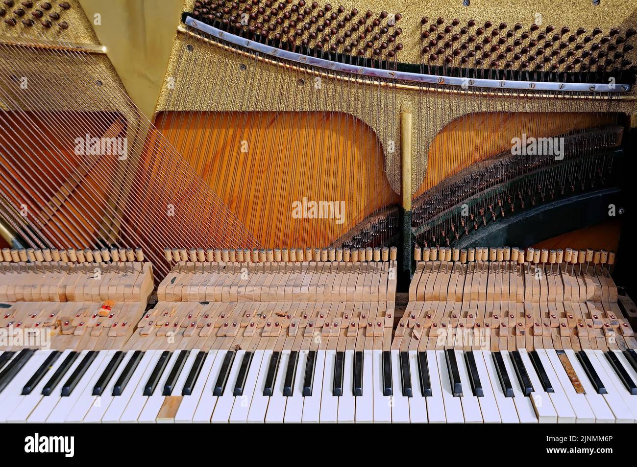 Close up of upright strings inside of grand piano outdoor Stock Photo - Alamy