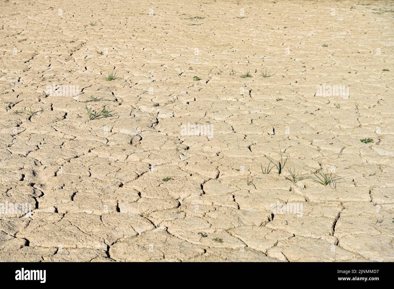 Texture of dry land in southern Europe. Global warming and greenhouse ...