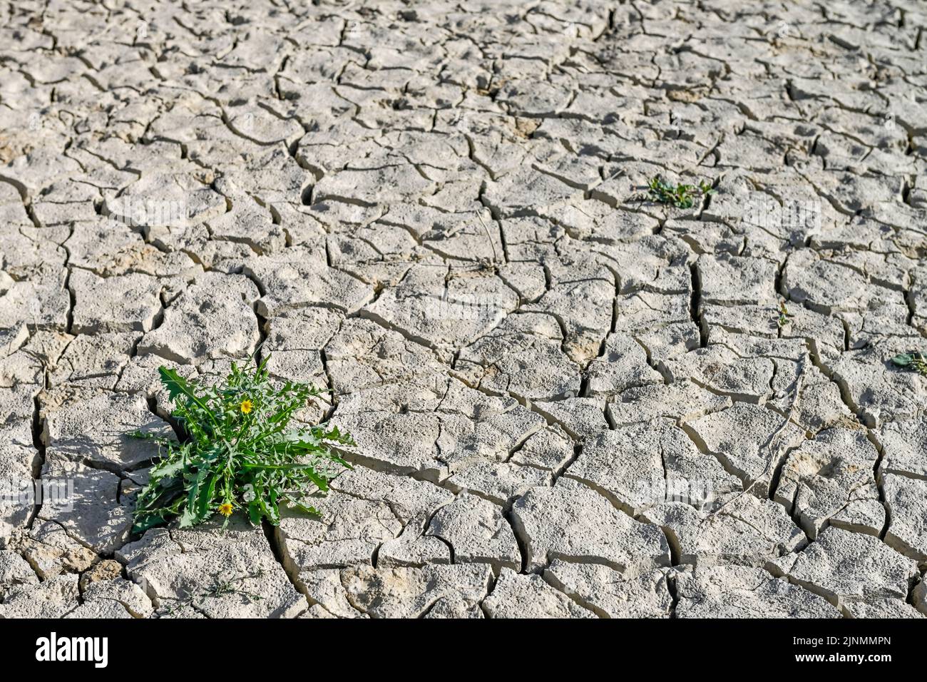 Texture of dry land in southern Europe. Global warming and greenhouse ...