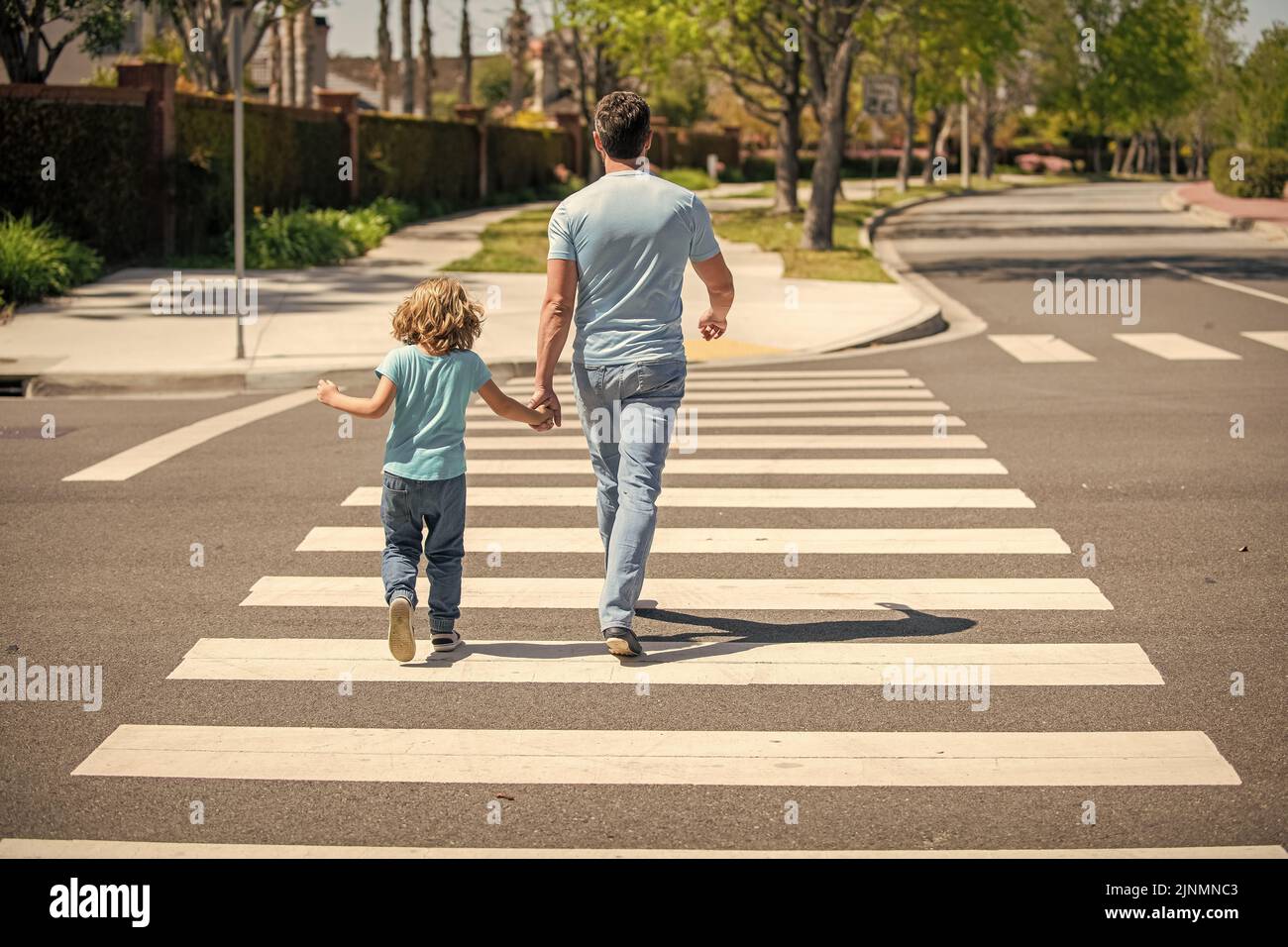 back view. father and son walk on zebra crossing. family value. parent ...