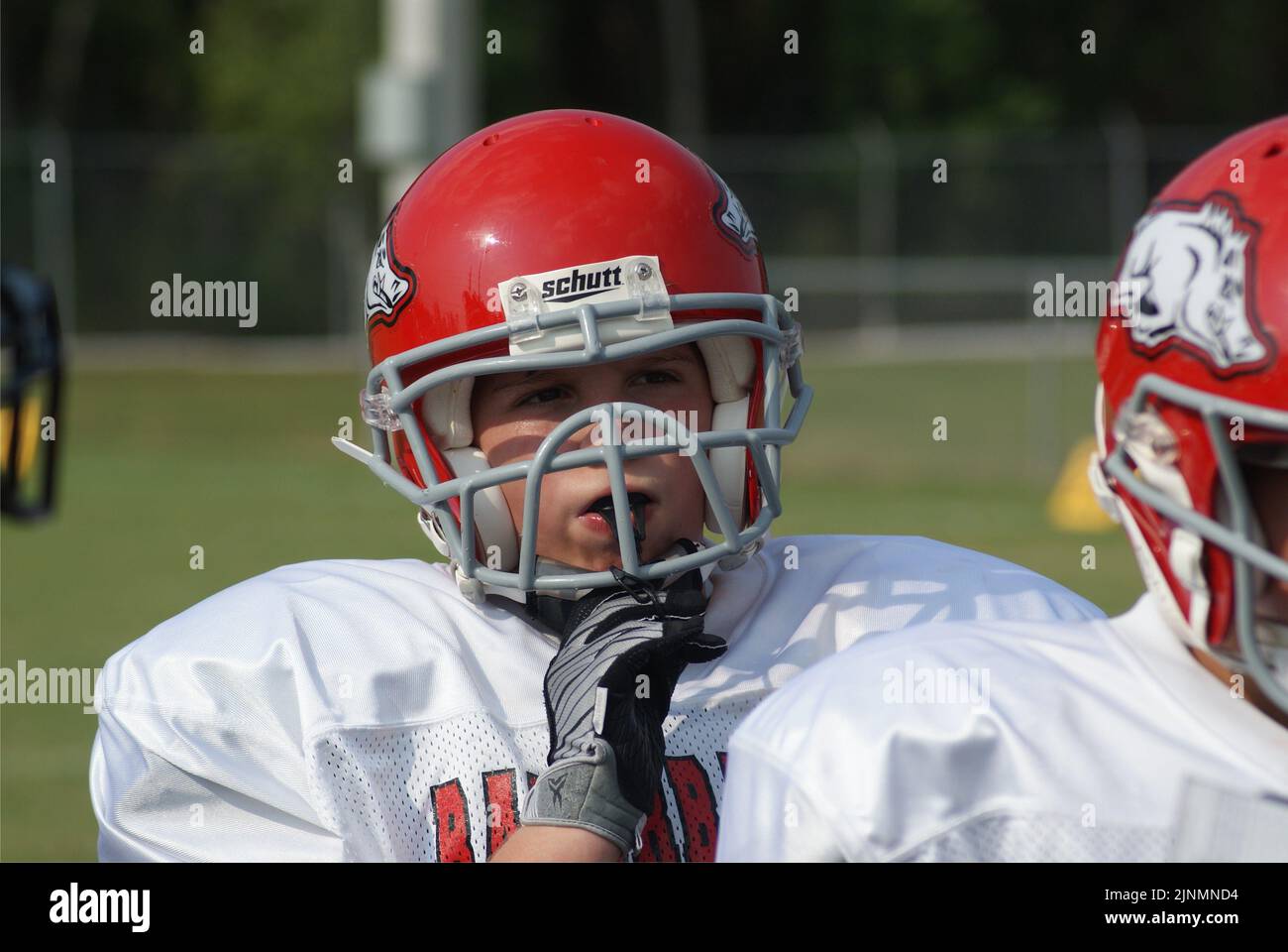 Youth football game, Razorbacks, aged sixteen Stock Photo - Alamy