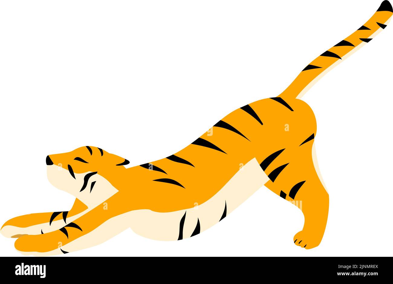 Simple tiger pose illustration, stretching Stock Vector Image & Art - Alamy