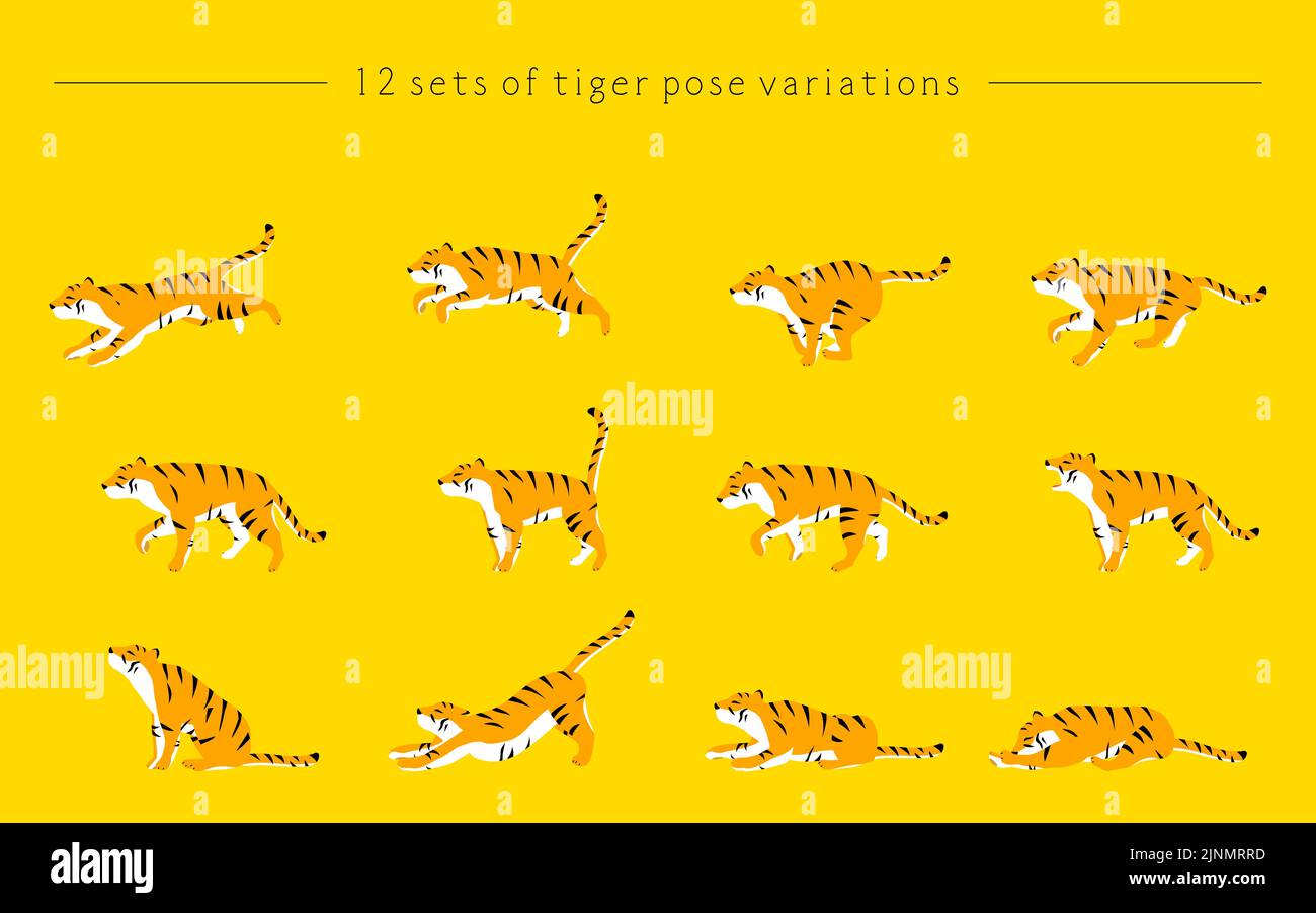 Simple tiger pose, a series of movements from sleeping to running, 12 ...