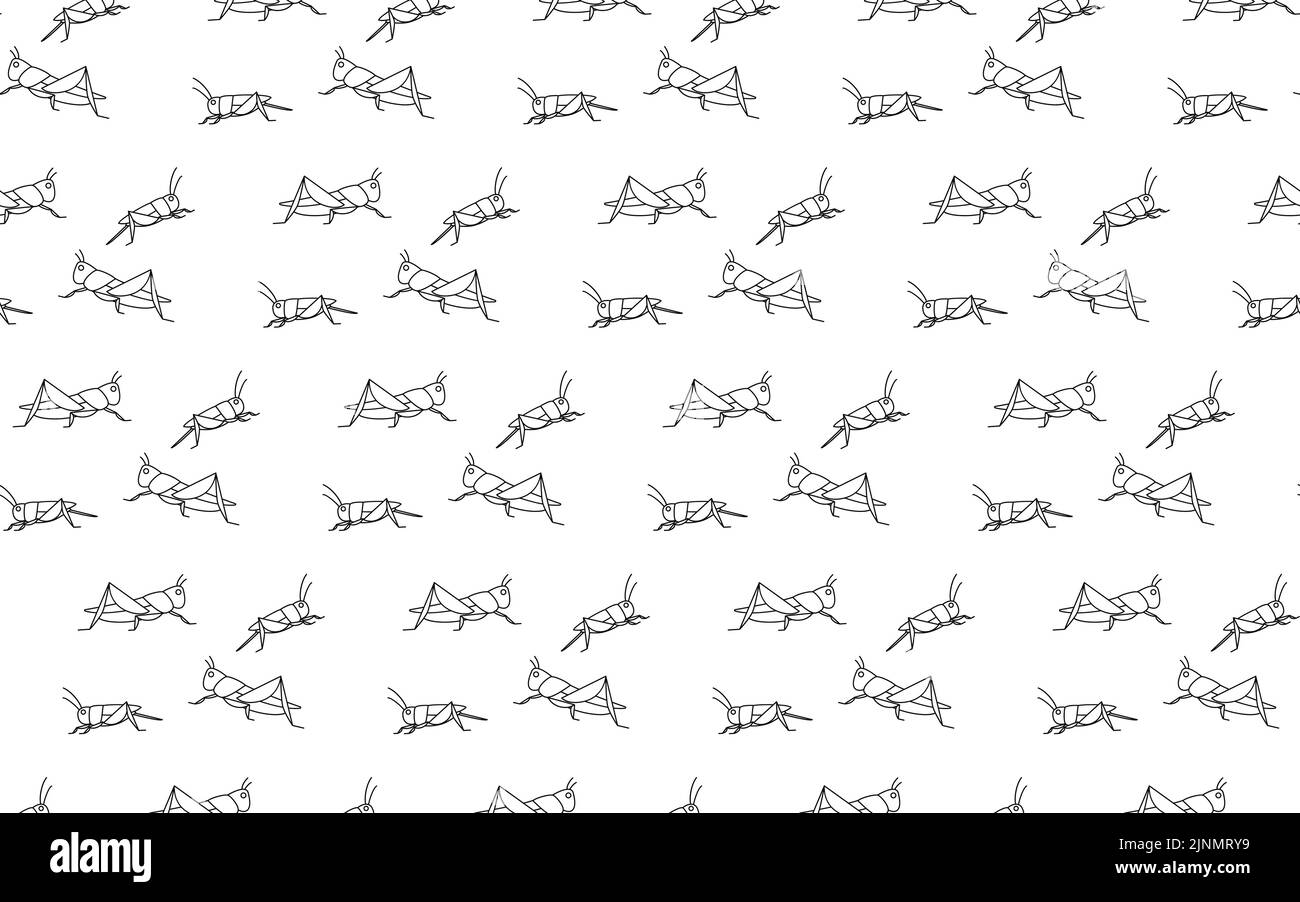 Edible grasshopper Black and White Stock Photos & Images - Alamy