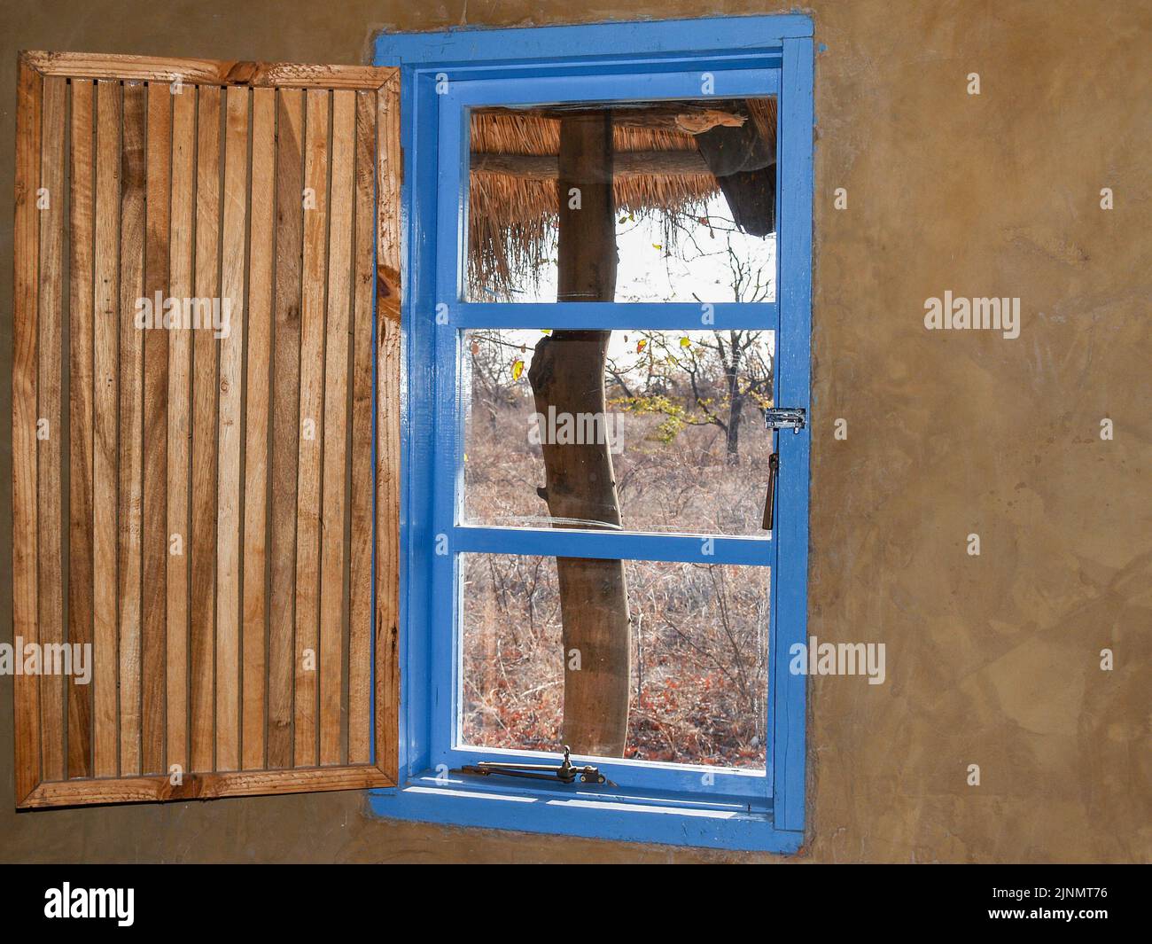 African bush landscape view through closed window with blue wooden ...