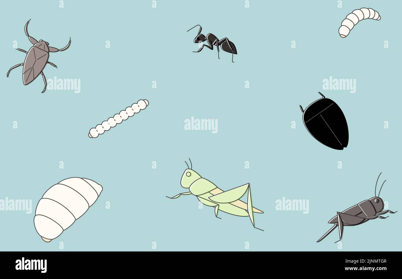 Edible insects, wallpaper background illustration Stock Vector Image ...