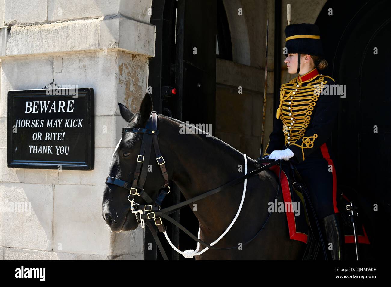 Female Horse Guard, Mounted Sentry, The King's Troop, Royal Horse ...