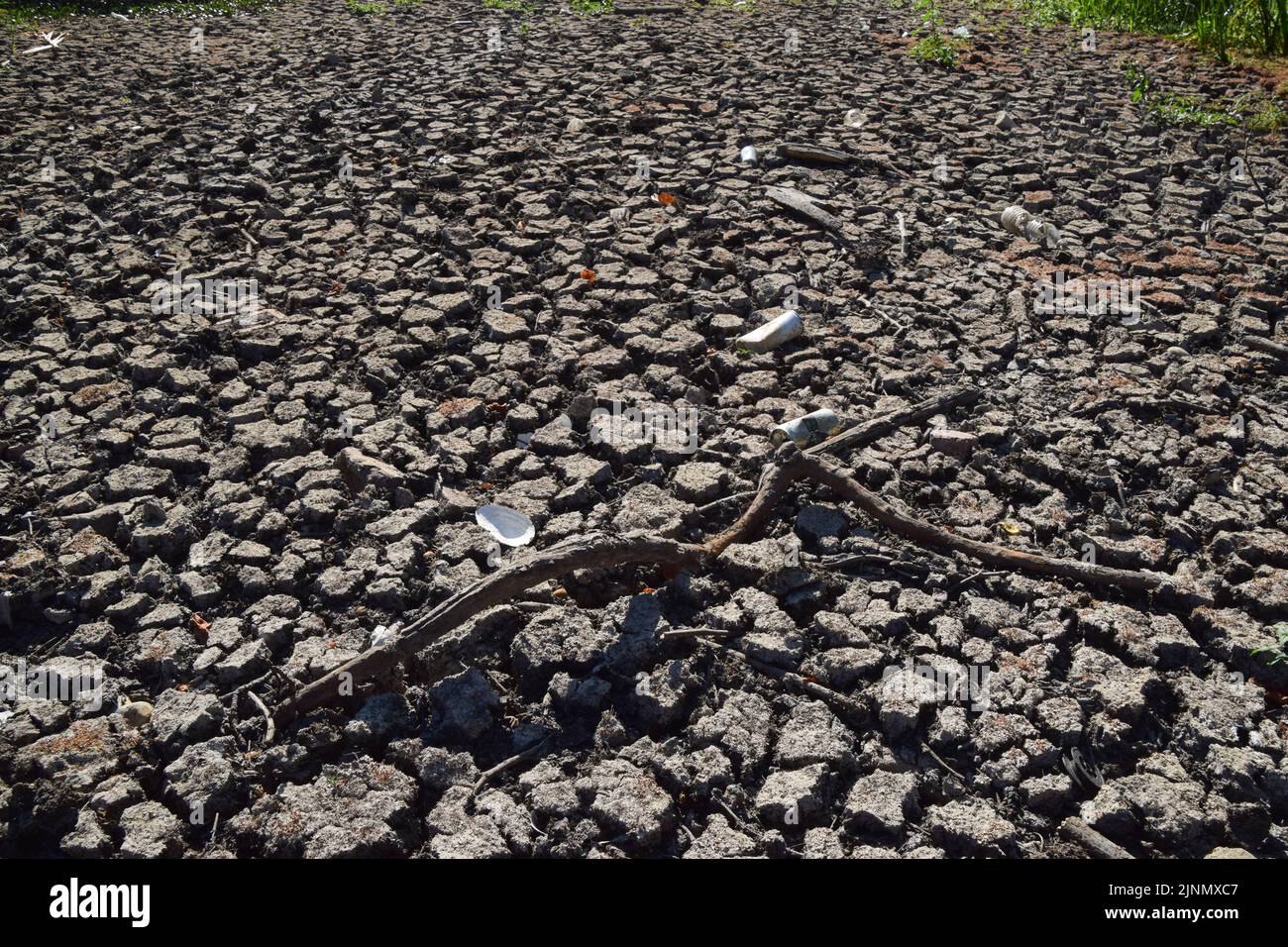 London, UK. 12th August 2022. A completely dry large pond in Wanstead ...