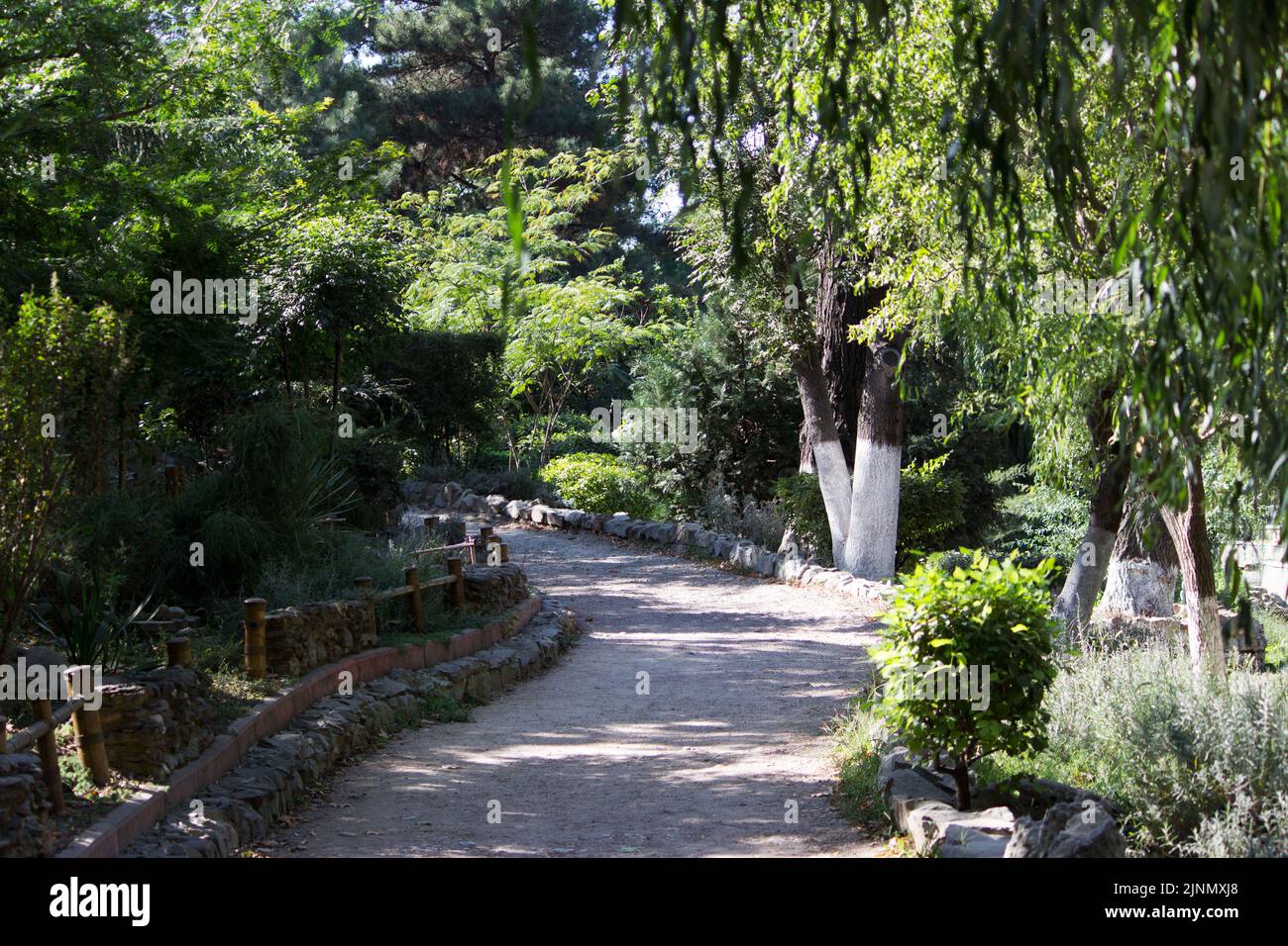 a path equipped for tourists into the forest thickets near the sea ...