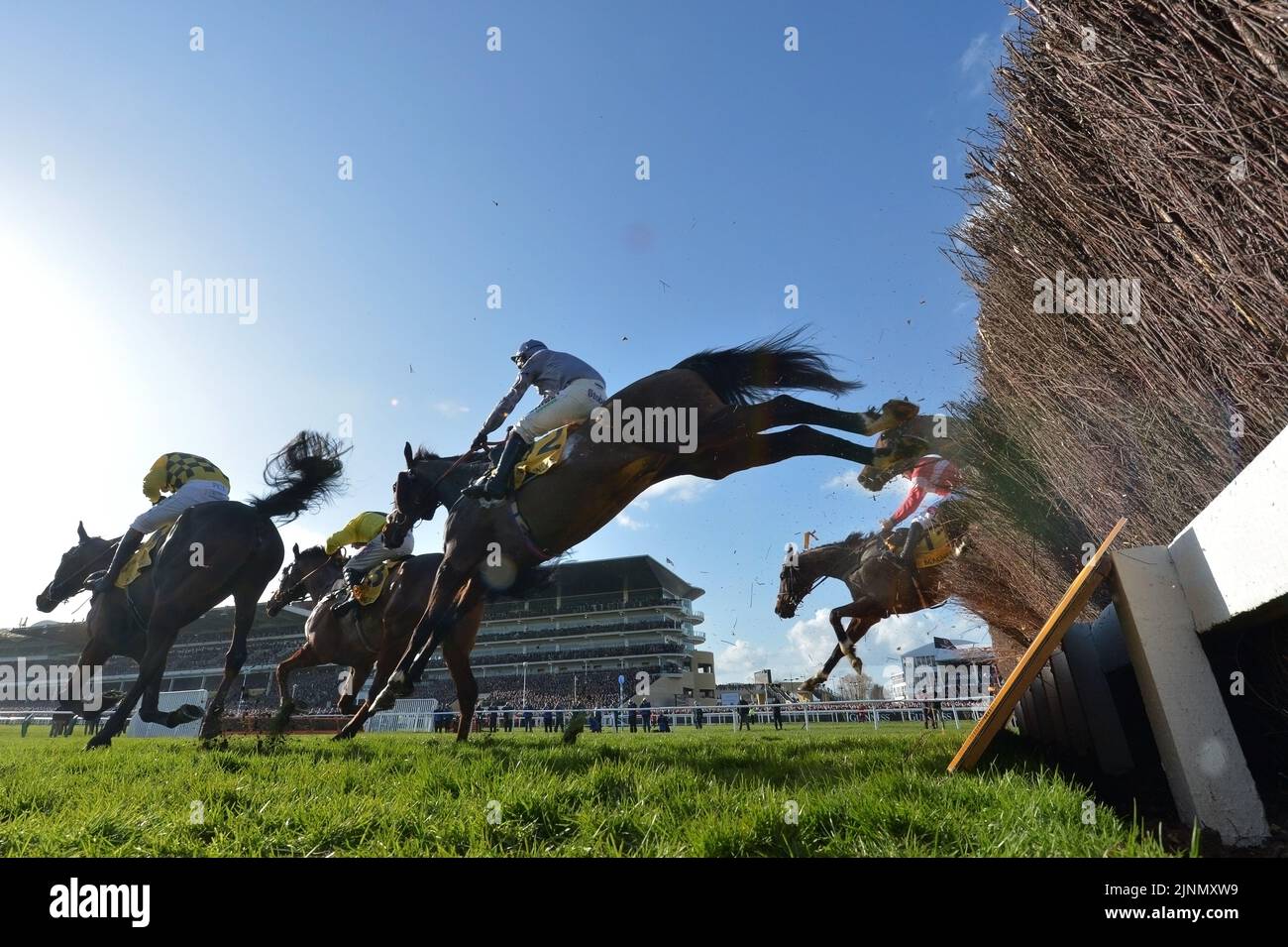 Cheltenham gold cup 2020 hi-res stock photography and images - Alamy