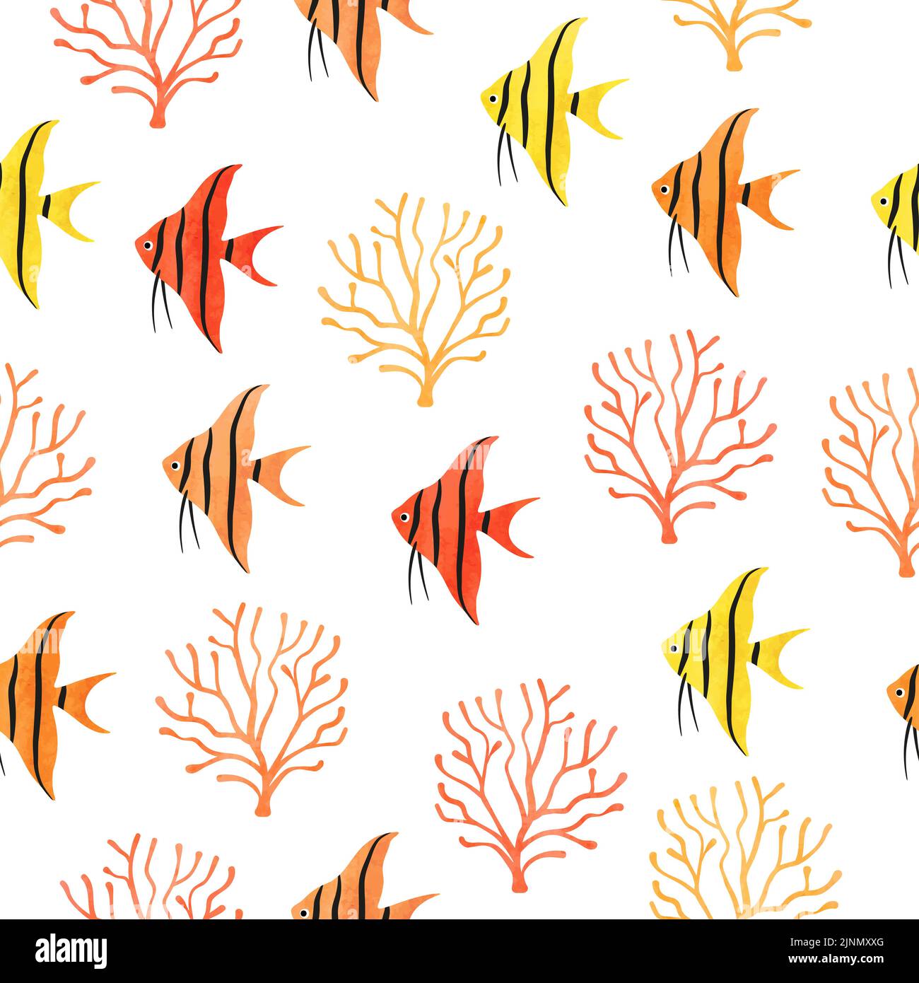 Angelfish watercolor hi-res stock photography and images - Alamy