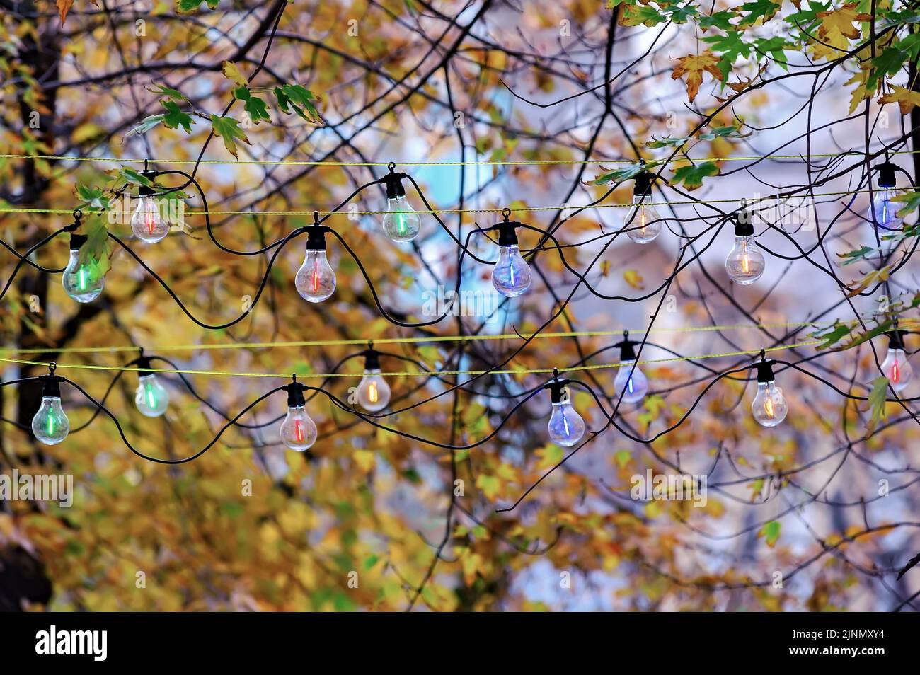 Street light garland of colorful neon bulbs Stock Photo - Alamy