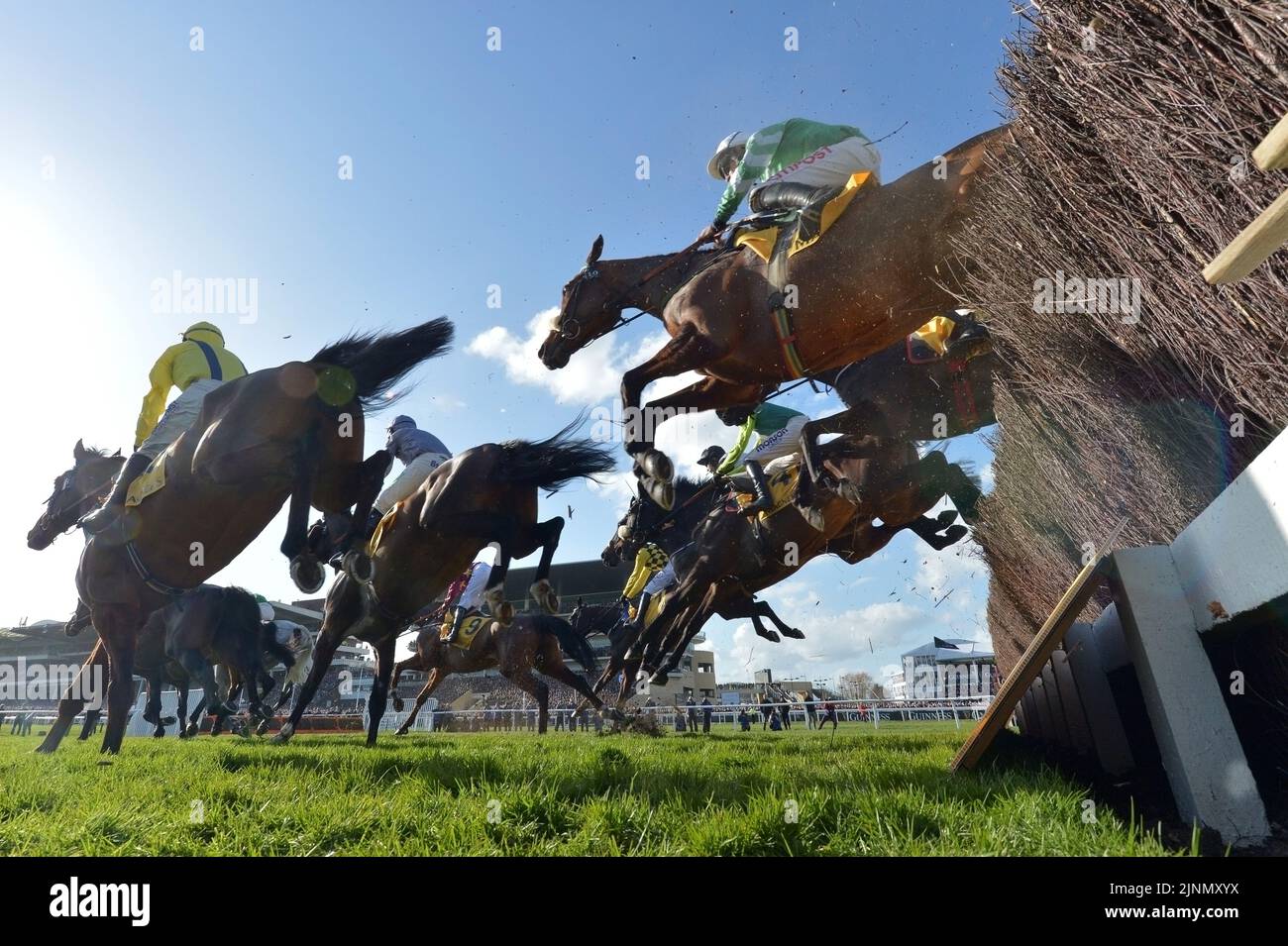 Cheltenhaam festival hi-res stock photography and images - Alamy