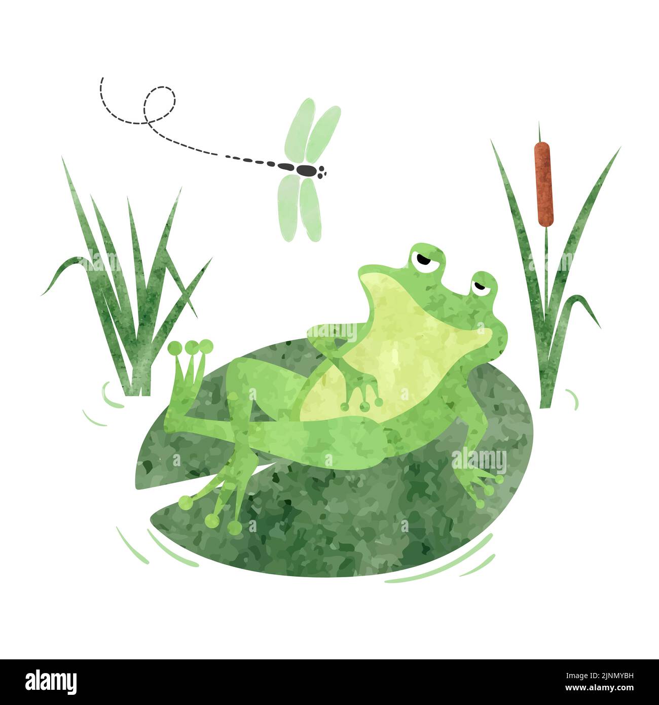 Frog on lily pad hi-res stock photography and images - Alamy