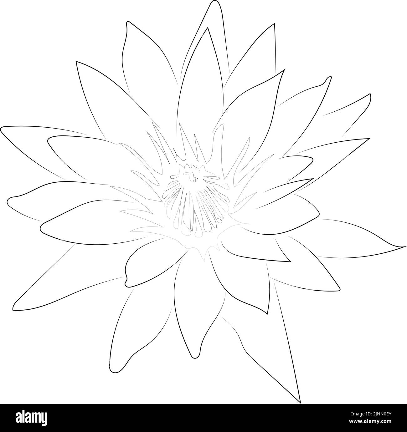 A simple black and white vector line pattern of a flower on a white ...
