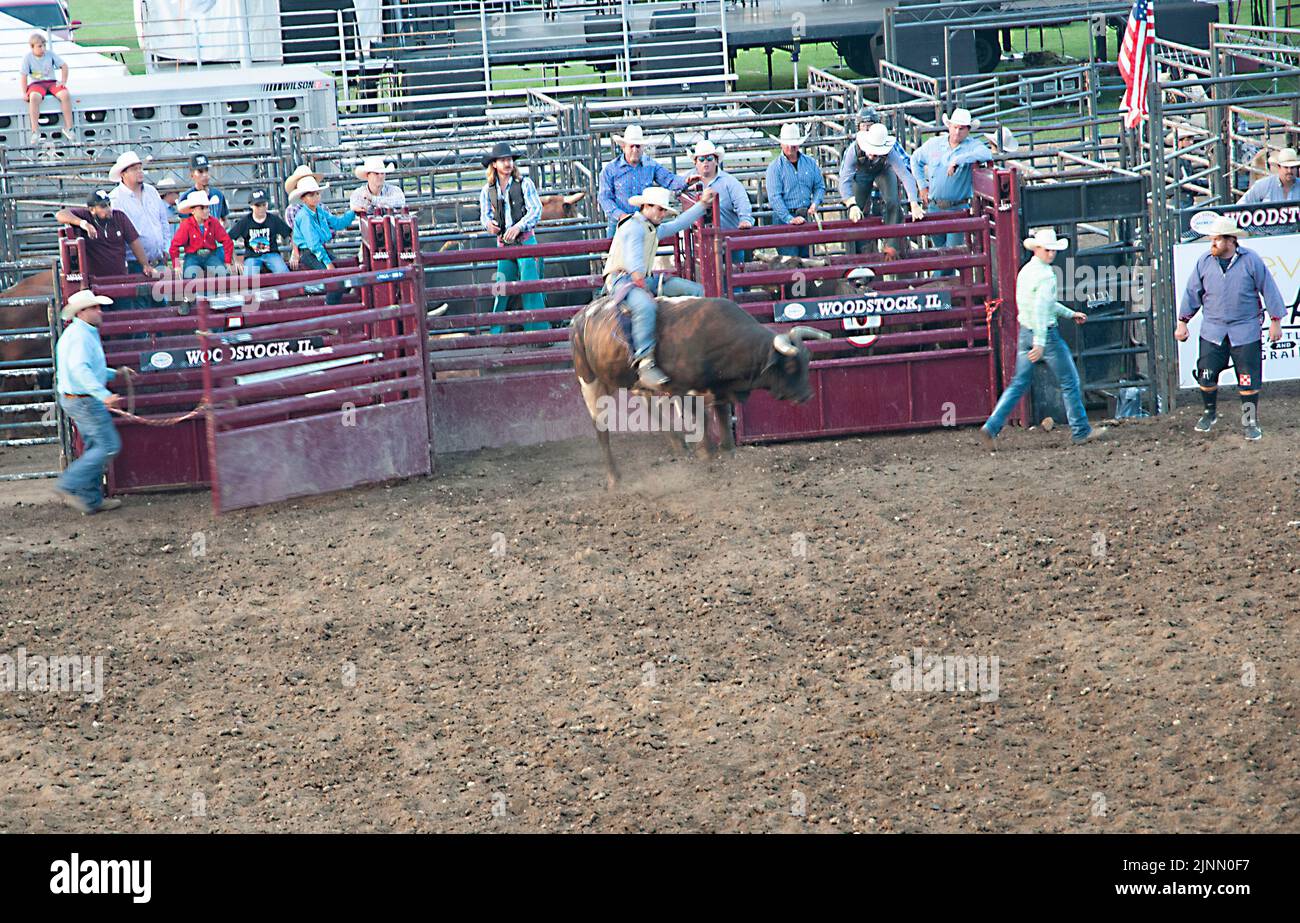 Bull riding event at County Fair Stock Photo - Alamy