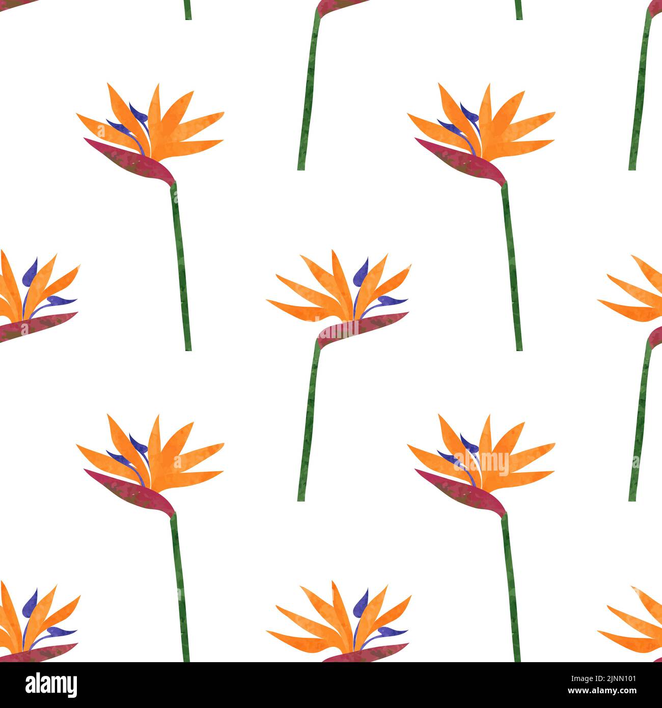 Seamless strelitzia flowers pattern. Vector tropic background Stock ...