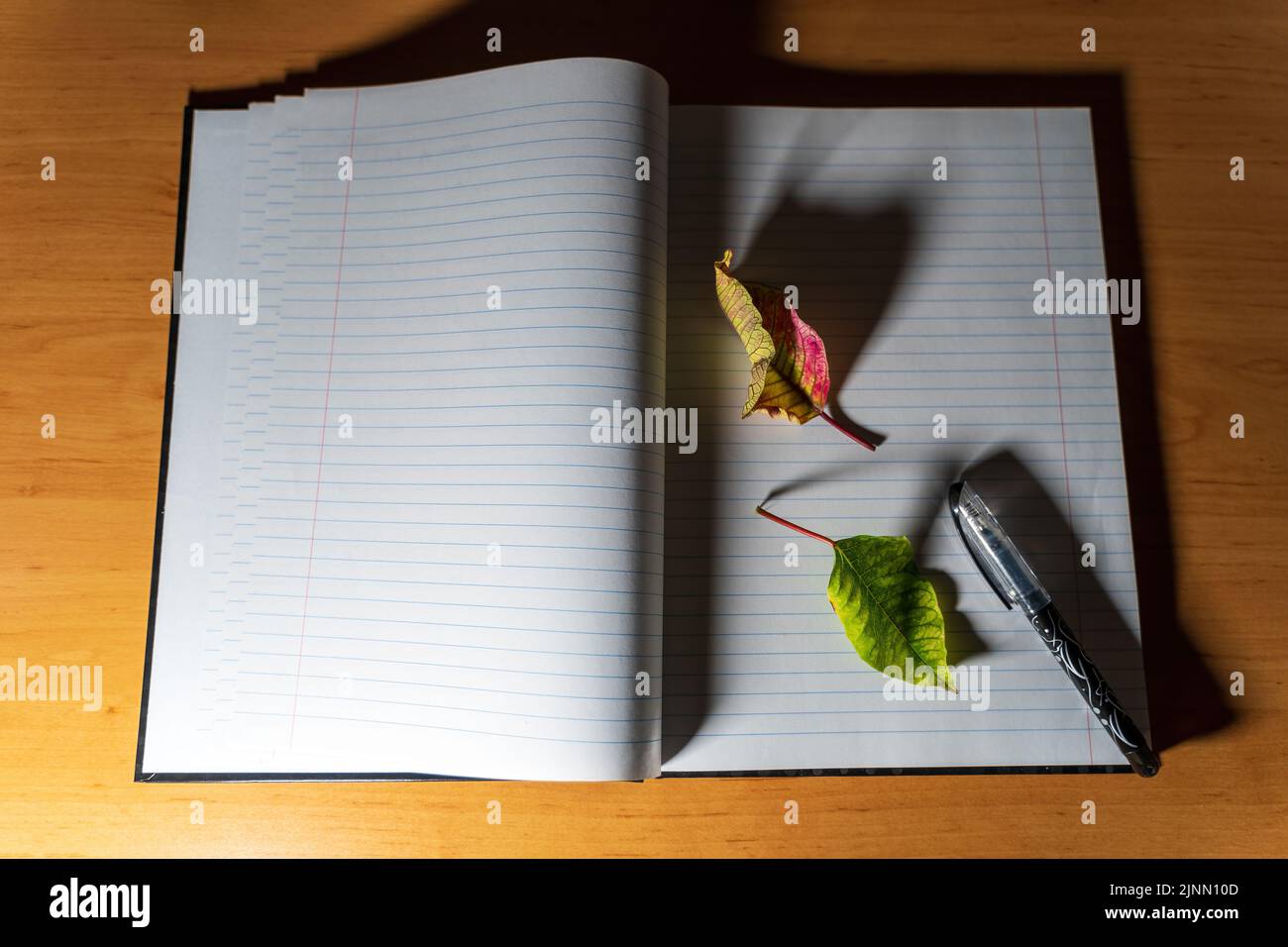 Top view of a an open notebook or diary with pen, couple of semi dried ...
