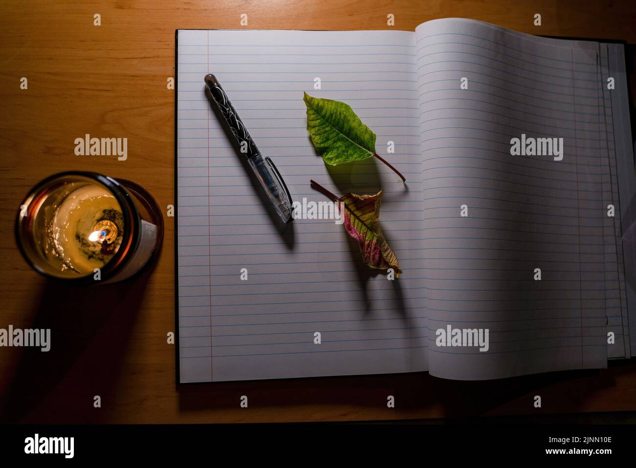 Conceptual video of an open notebook with pen, couple of semi dried ...