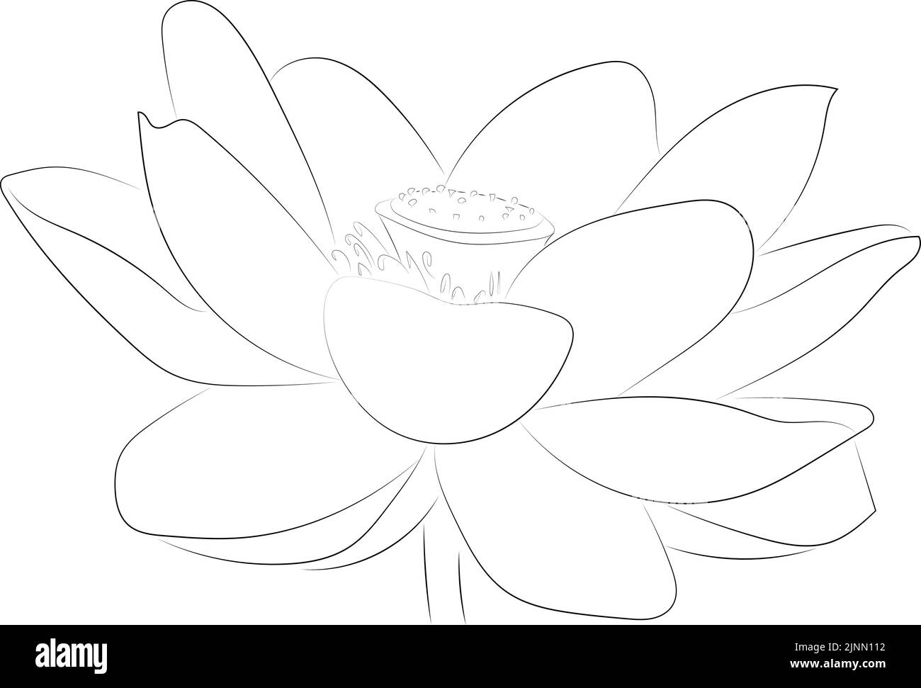 A simple black and white vector line pattern of a flower Stock Vector ...
