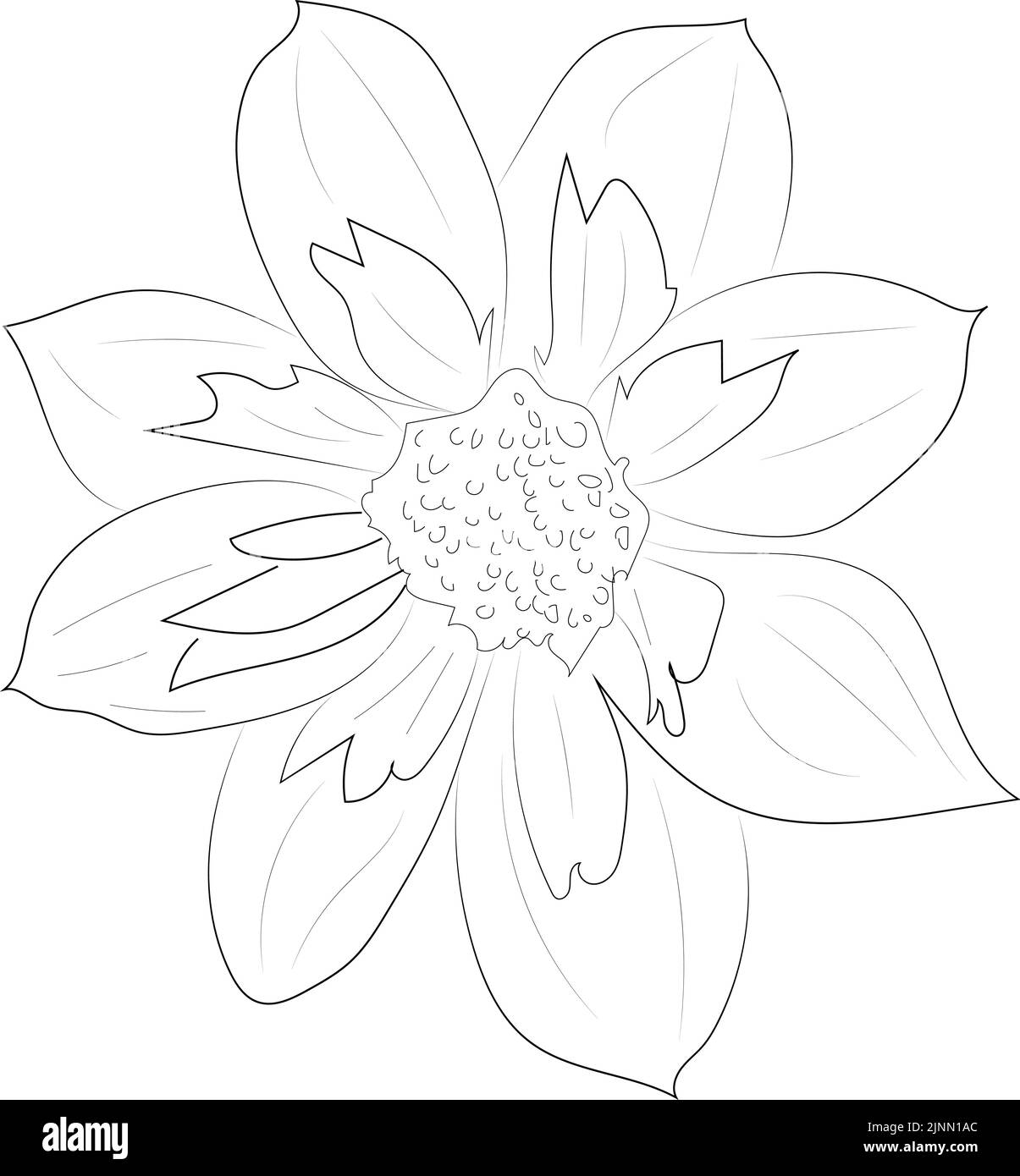 A simple black and white vector line pattern of a flower Stock Vector ...