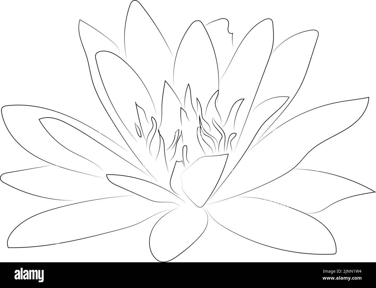 A simple black and white vector line pattern of a flower on a white ...