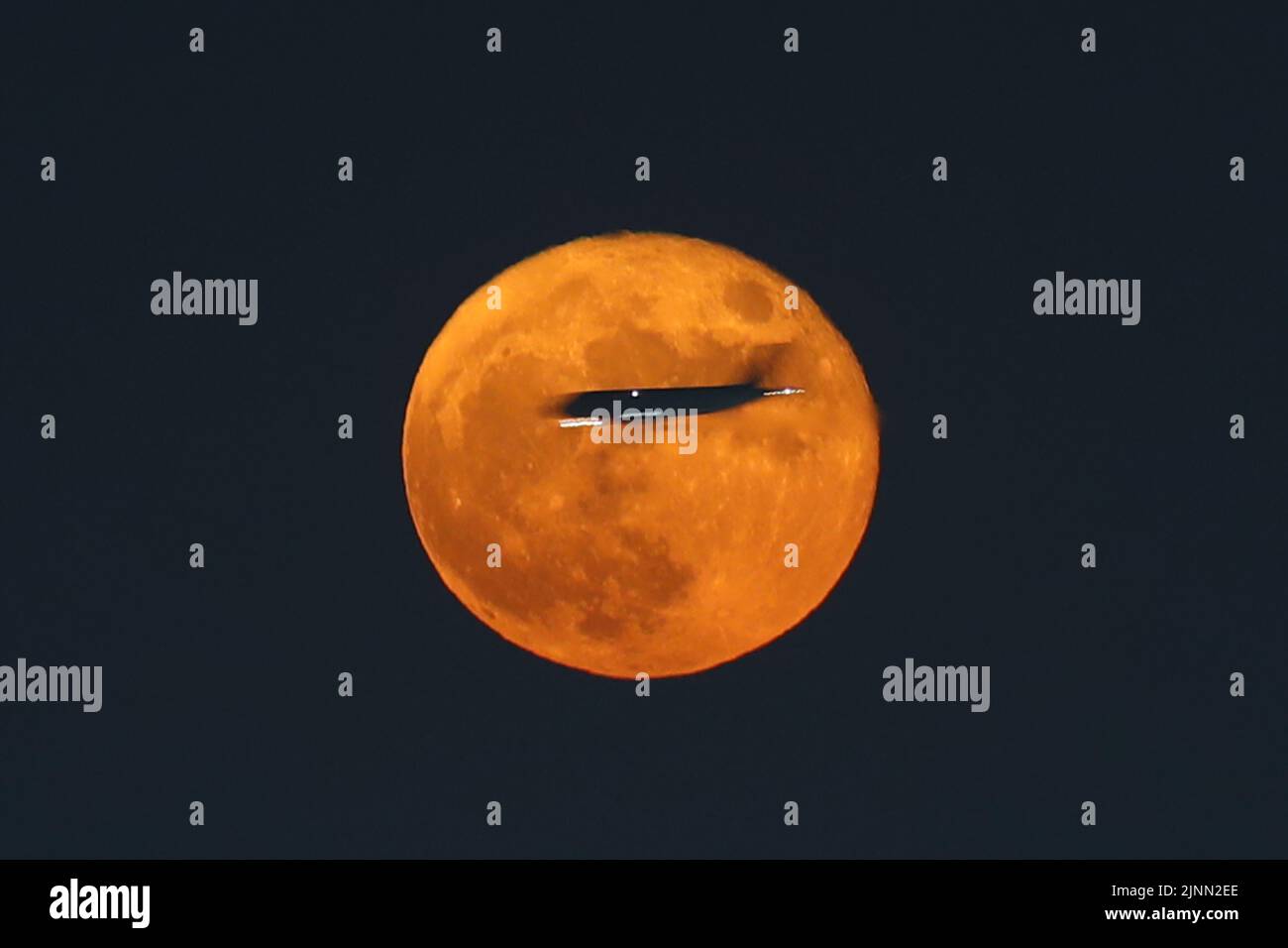 Silhouetted against the moon egypt hi-res stock photography and images ...