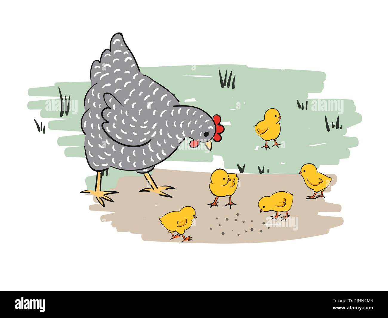 Chicken family vector illustration. Hen with baby chicks. Easter card ...