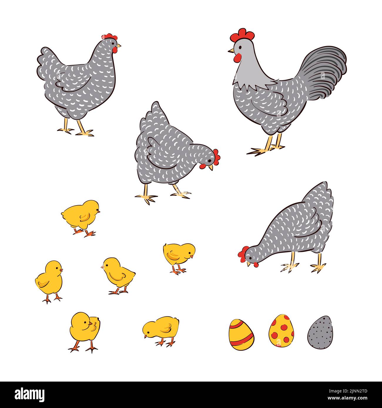 Chicken family vector illustration. Chick characters isolated on white ...