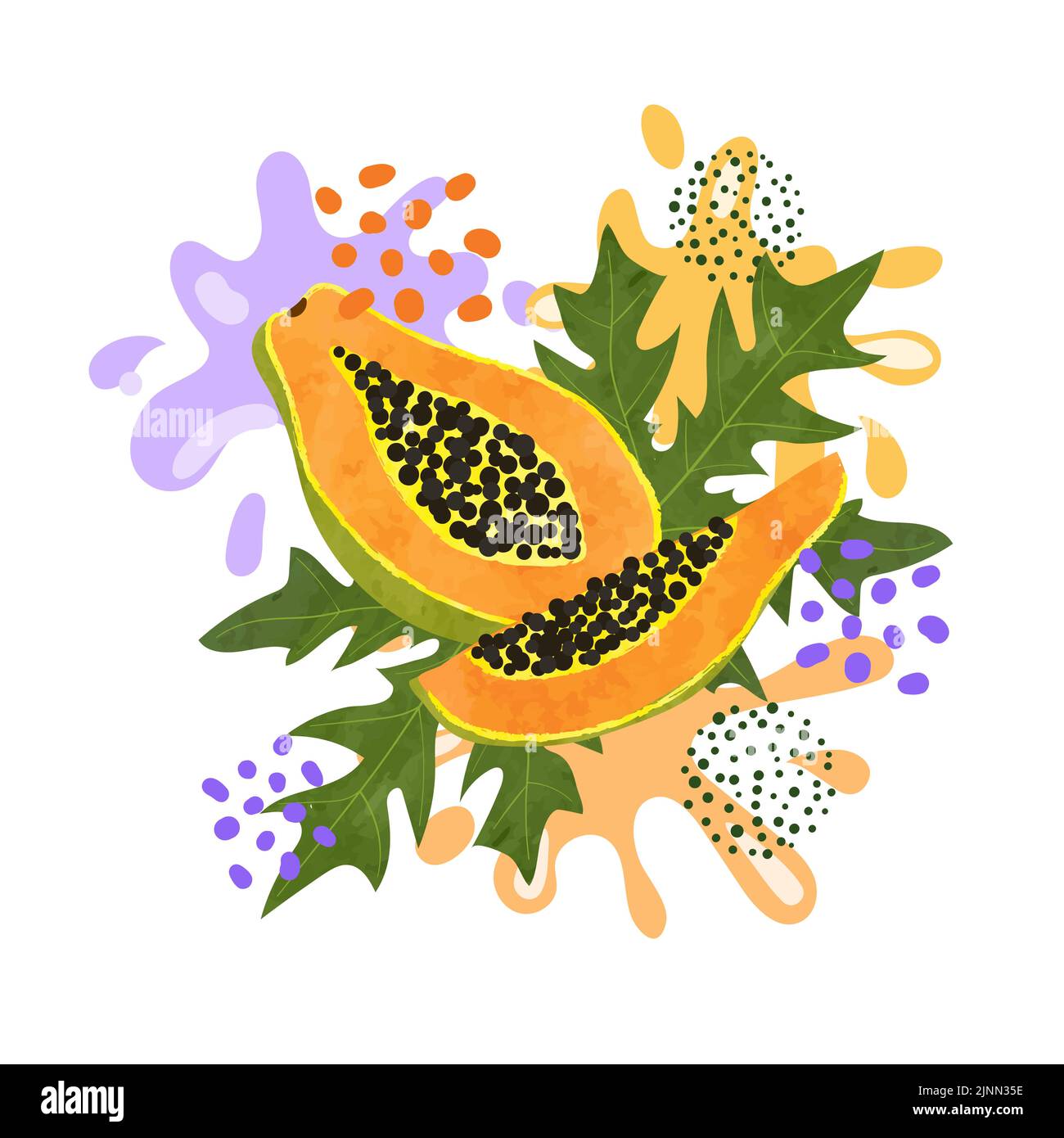Papaya fruit vector illustration. Abstract watercolor juicy fruit ...