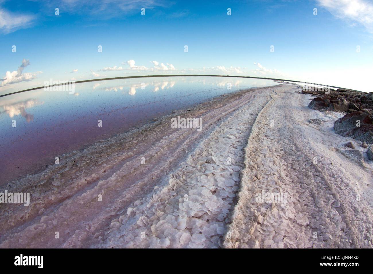 Salt lagoon,Dunaliella salina coloration, La Pampa, Argentina Stock ...