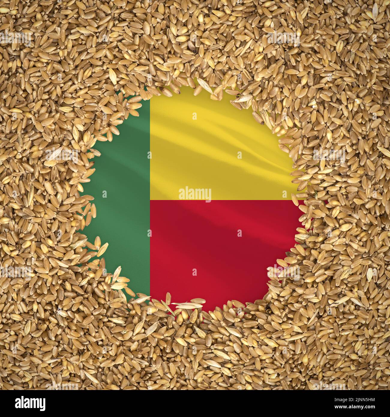 Flag of benin with grains of wheat. Natural whole wheat concept with ...