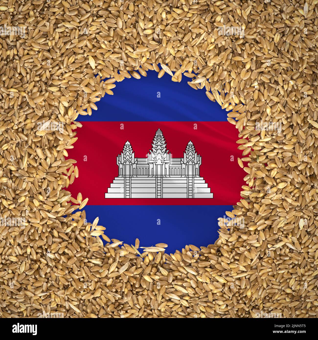 Flag of cambodia with grains of wheat. Natural whole wheat concept with ...