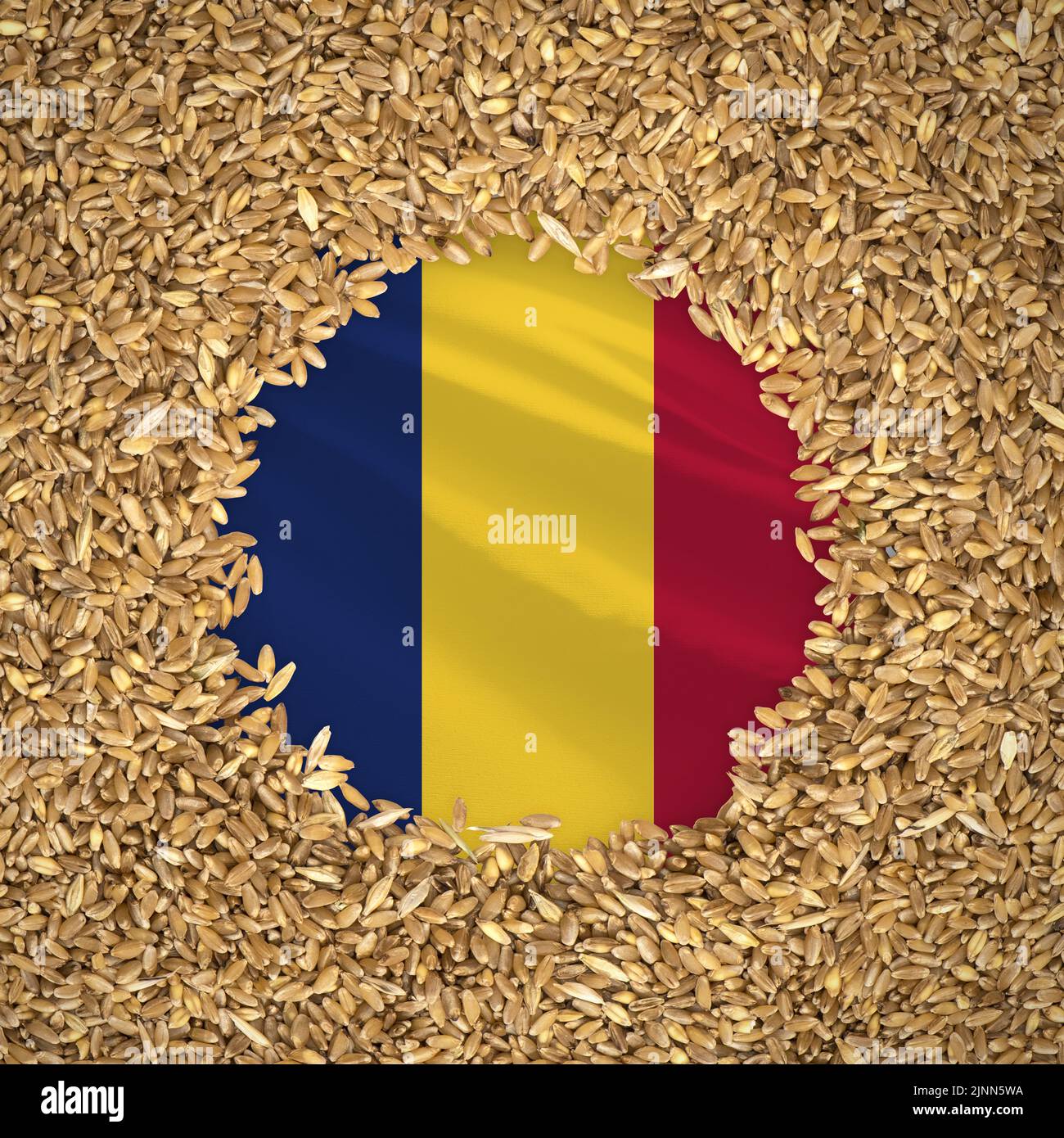 Flag of chad with grains of wheat. Natural whole wheat concept with ...