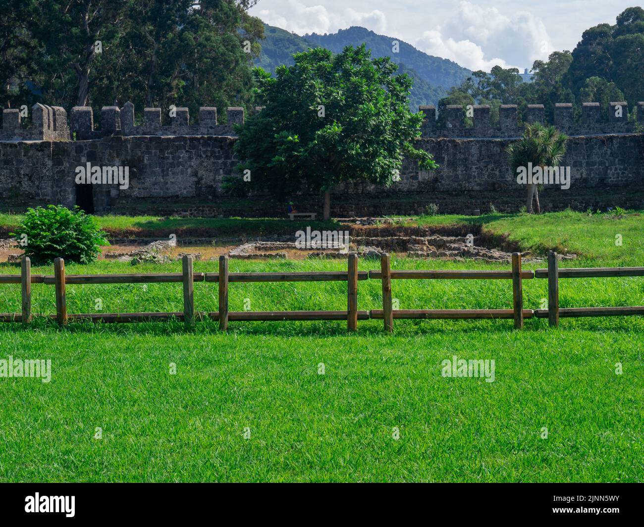 Lawn for grazing horses in the courtyard of a medieval castle. Lawn and ...