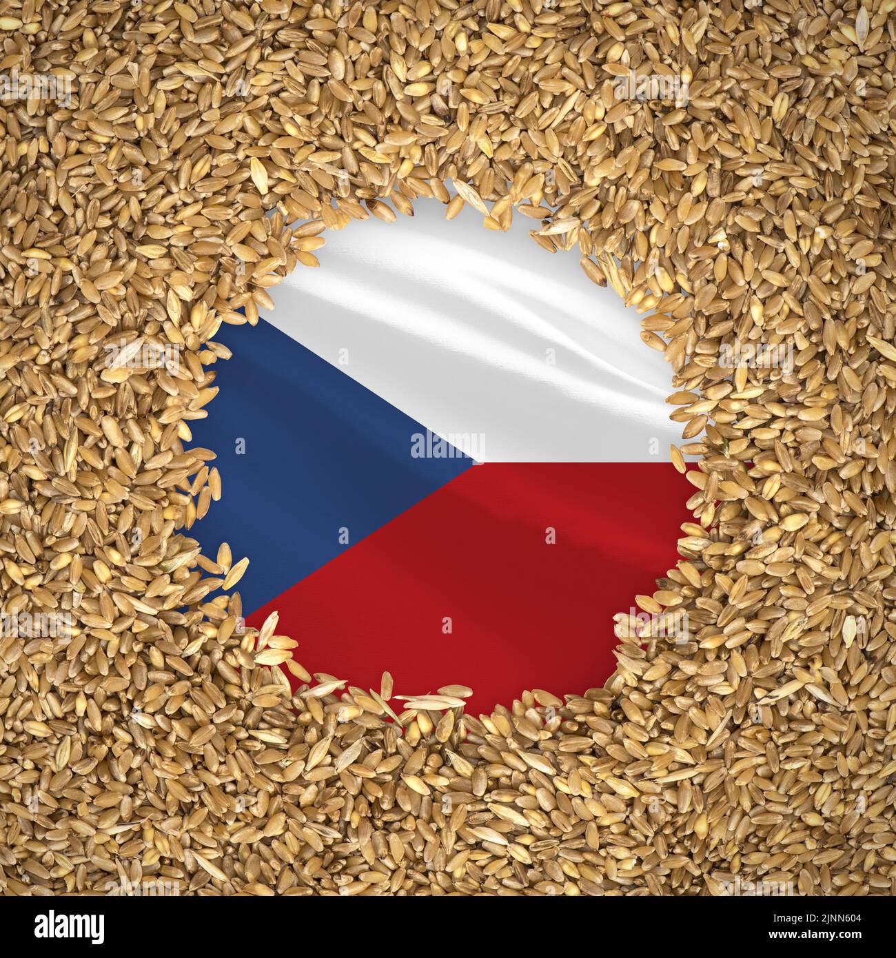 Flag of czechia with grains of wheat. Natural whole wheat concept with ...