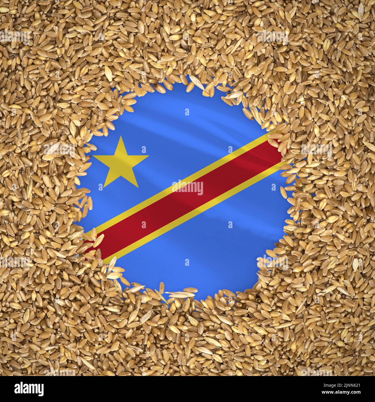Flag of dr congo with grains of wheat. Natural whole wheat concept with ...
