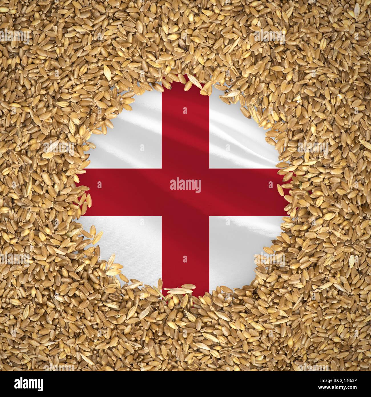 Flag of england with grains of wheat. Natural whole wheat concept with ...