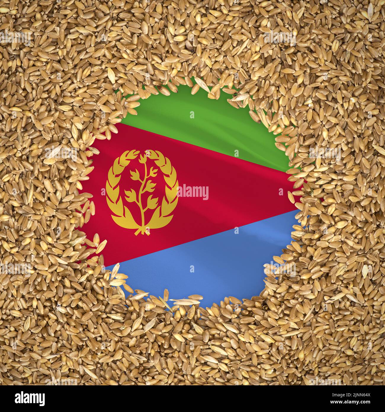 Flag of eritrea with grains of wheat. Natural whole wheat concept with ...