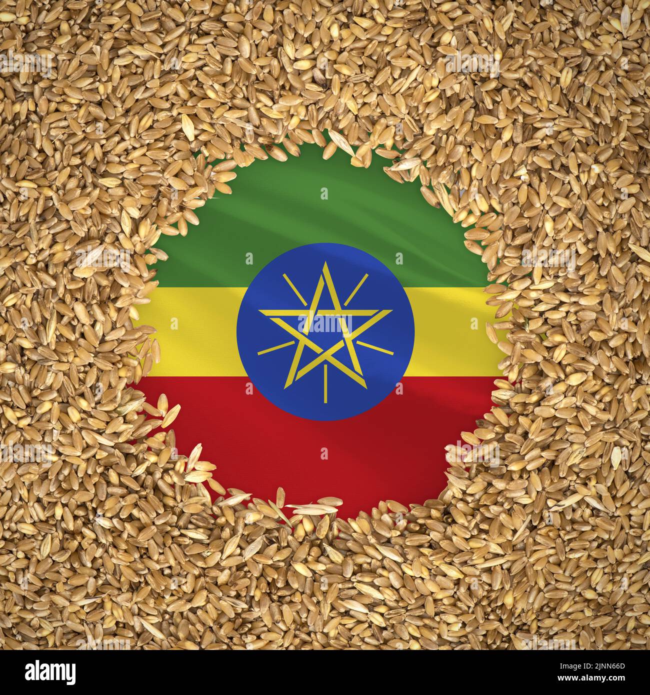 Flag of ethiopia with grains of wheat. Natural whole wheat concept with ...
